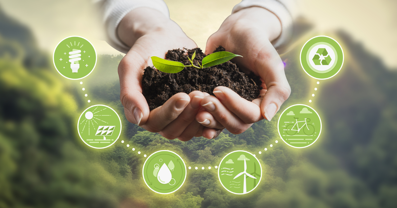 Construyendo un Futuro Sostenible: Estrategias Empresariales para un Impacto Positivo - Mentu